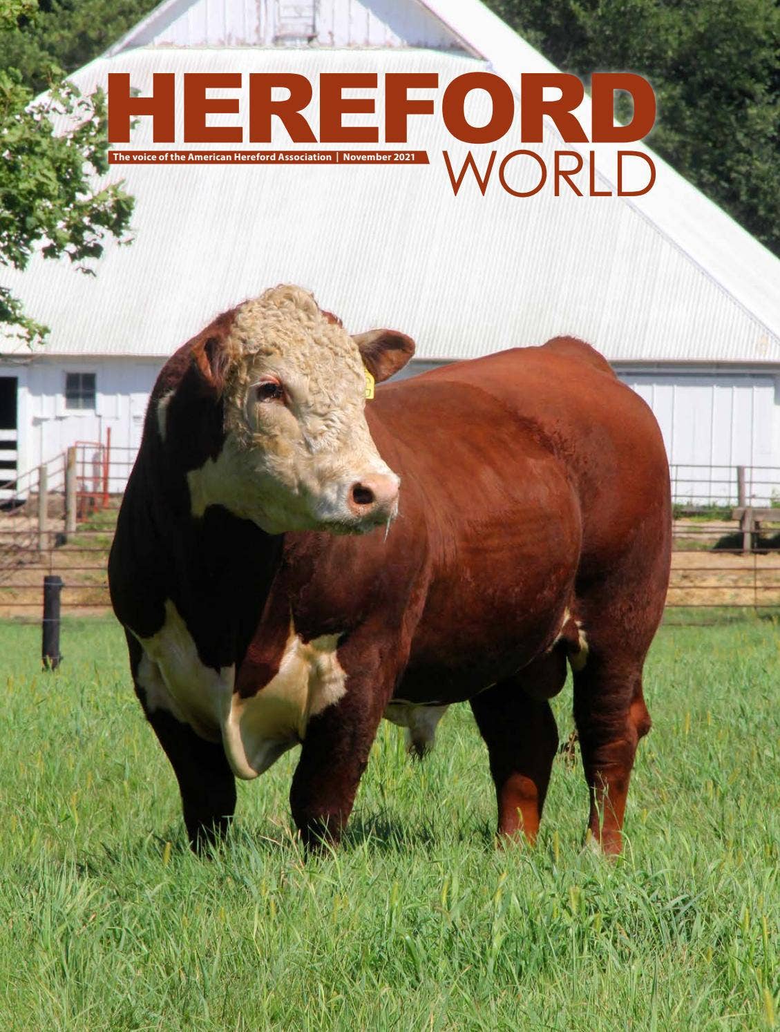 November 2021 Hereford World Magazine by American Hereford Association ...