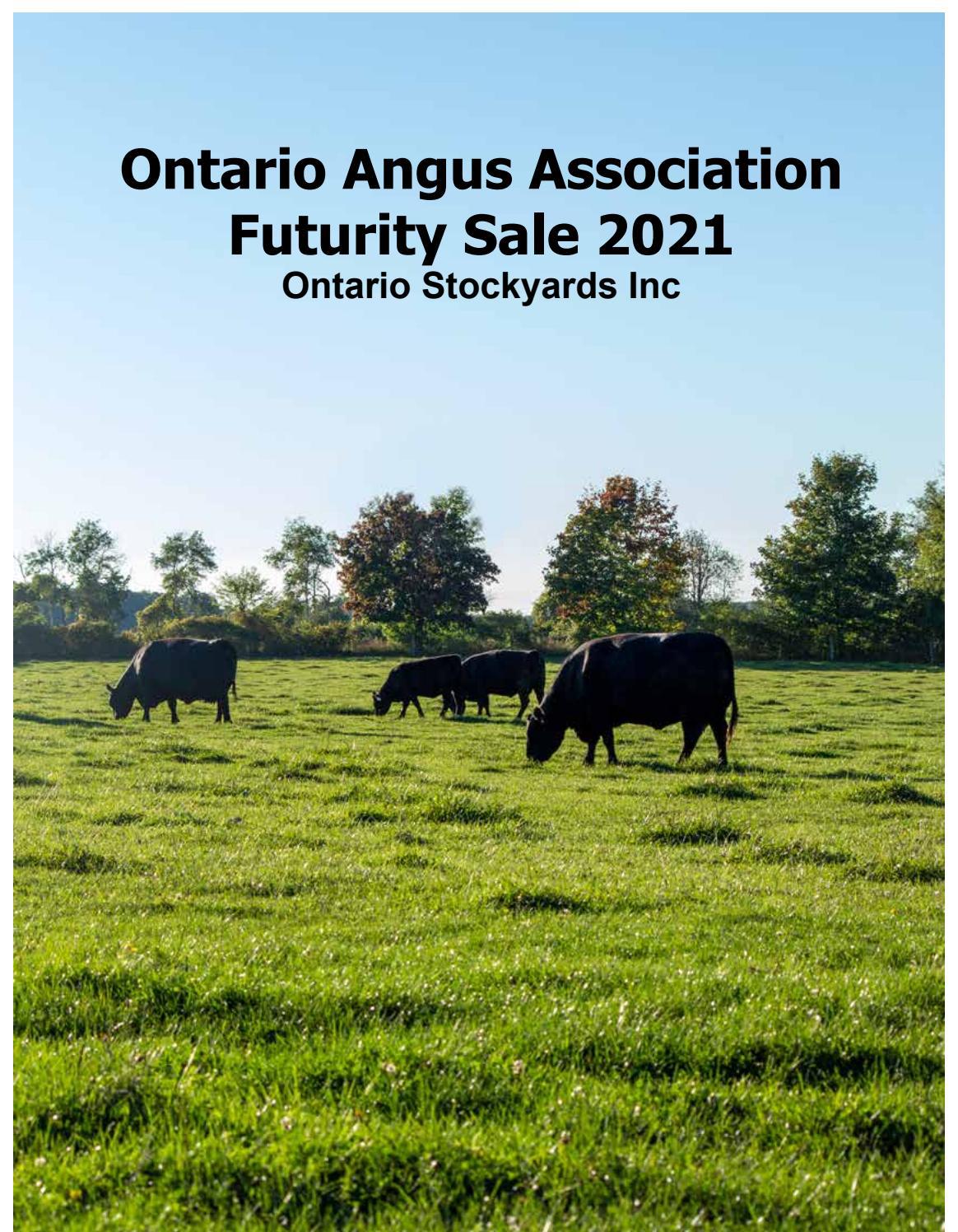 Ontario Angus Association Futurity Sale 2021 by Canadian Angus ...
