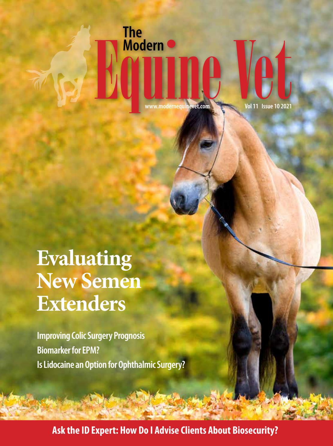 The Modern Equine Vet - October 2021 by The Modern Equine Vet - Issuu