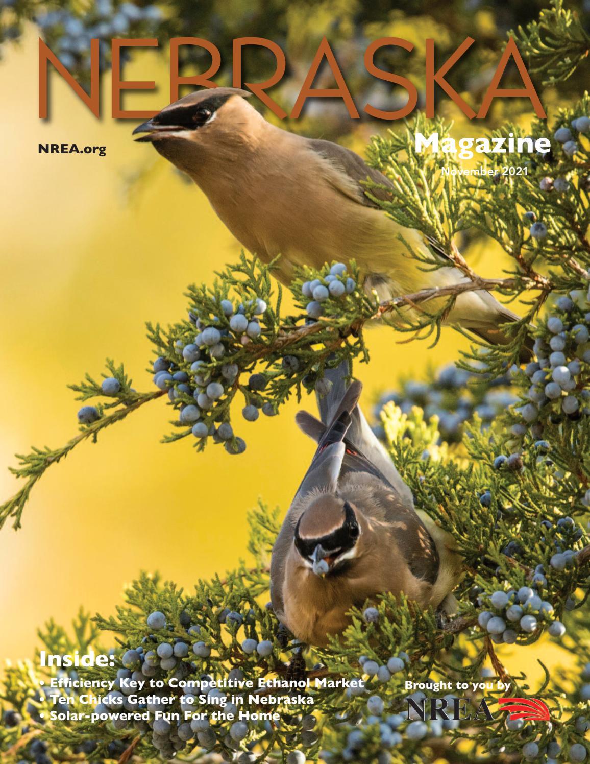 Nebraska Magazine - 11/21 by Nebraska Rural Electric Association - Issuu