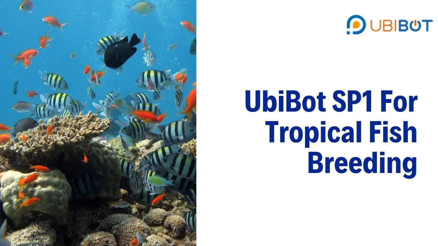 Get UbiBot SP1 For Tropical Fish Breeding by UbiBot - Issuu