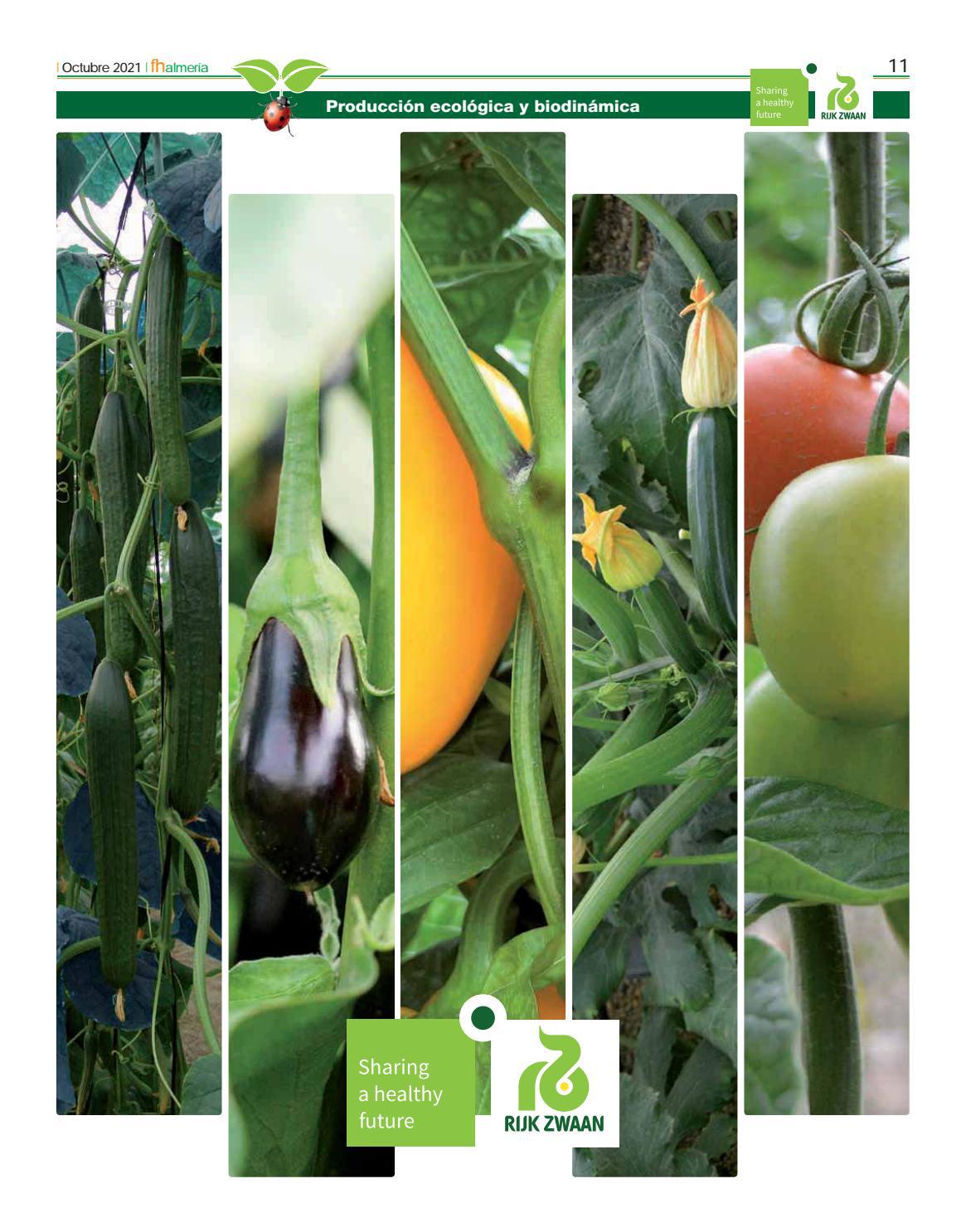 Octubre 2021 || Especial Cultivo ecológico de Rijk Zwaan en FHALMERIA ...