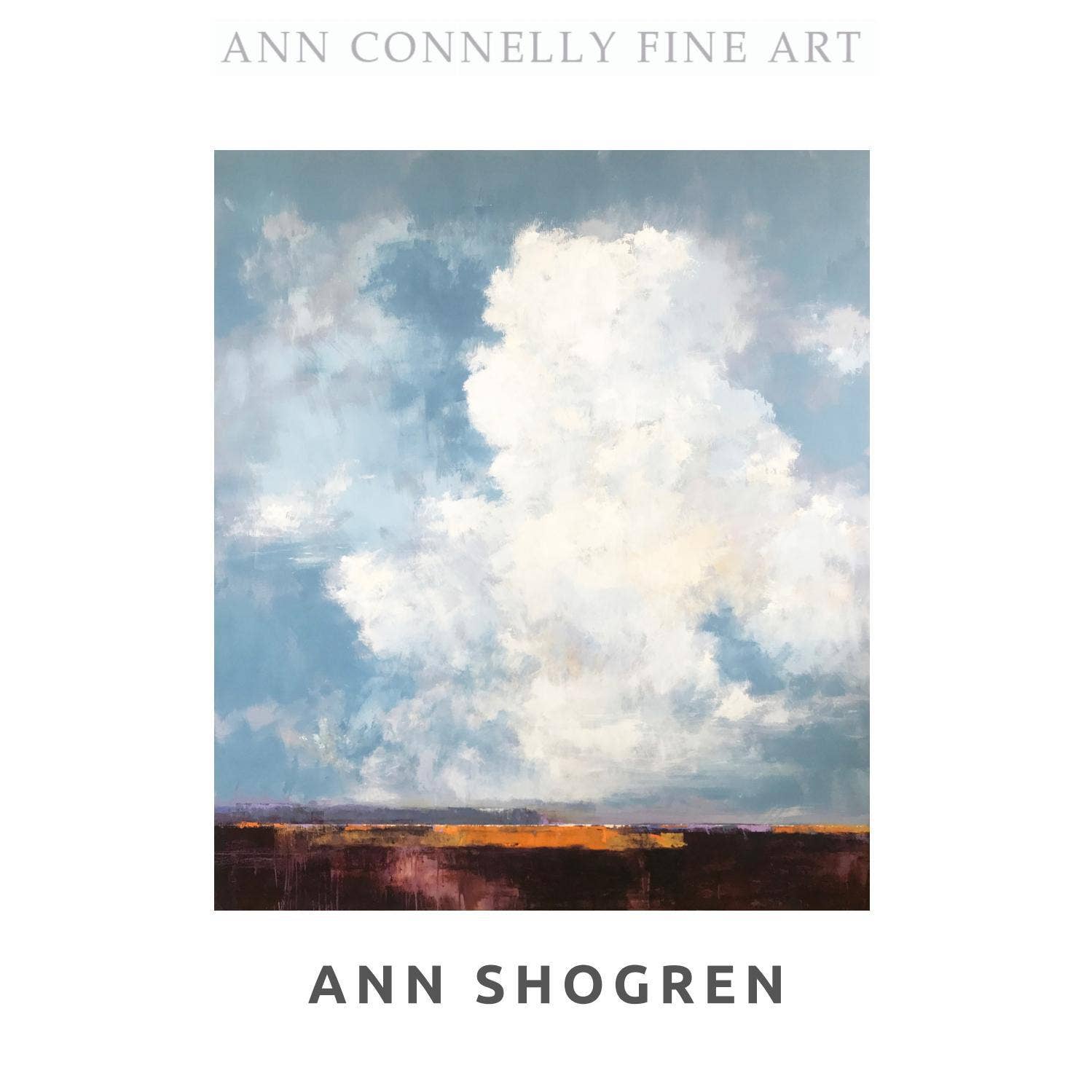 Introducing Ann Shogren by Ann Connelly - Issuu