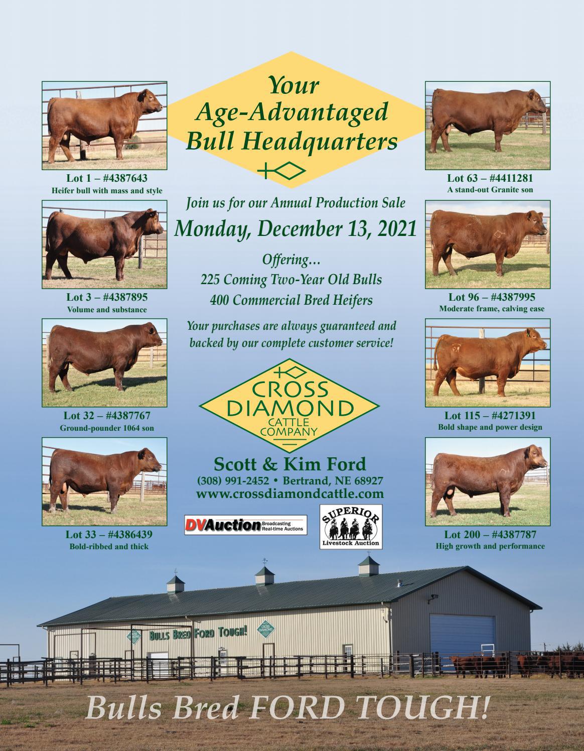 Cross Diamond Cattle Company Sale Catalog 2021 by PeltonLivestock - Issuu