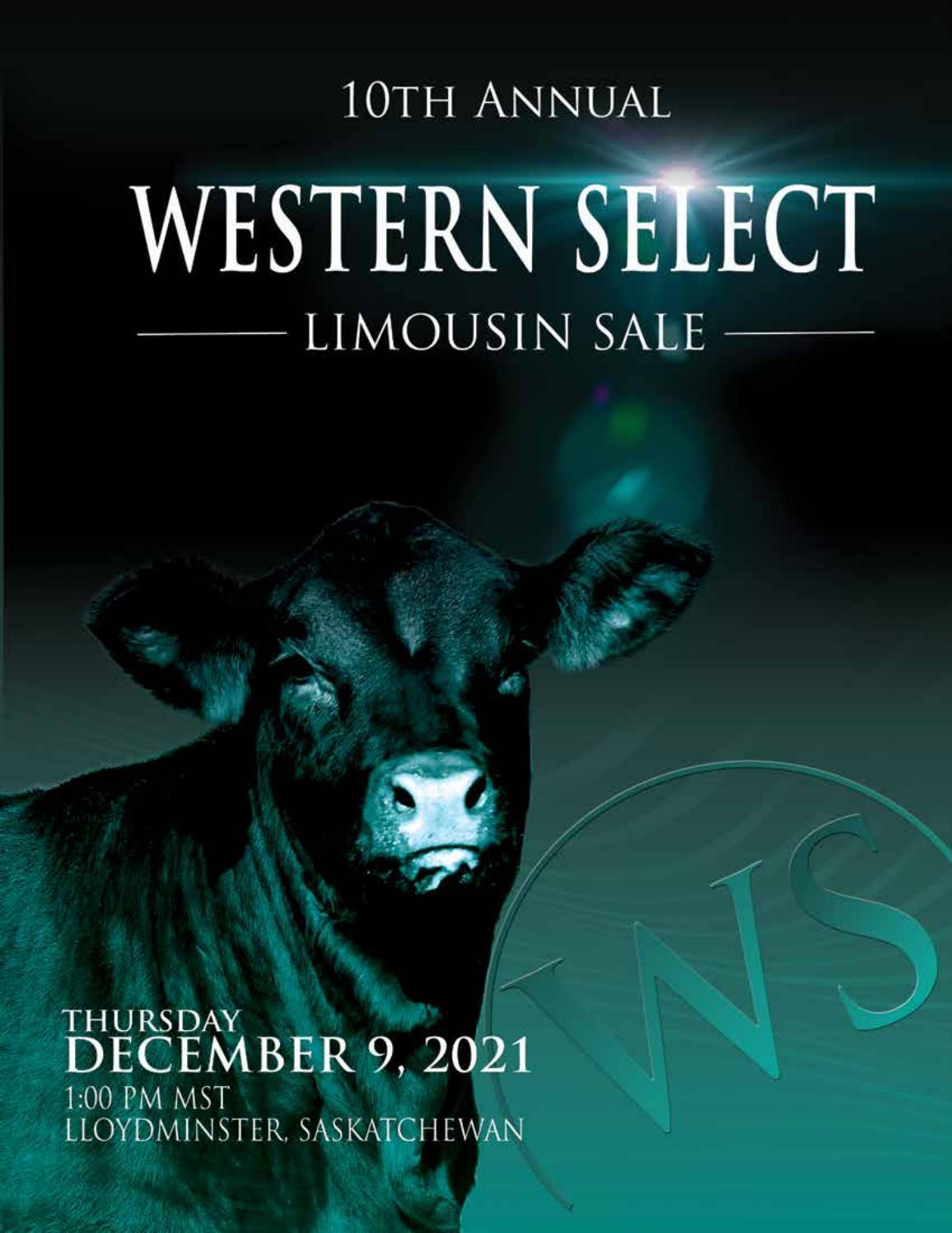 Western Select 10th Annual Limousin Sale by Bohrson Marketing Services ...