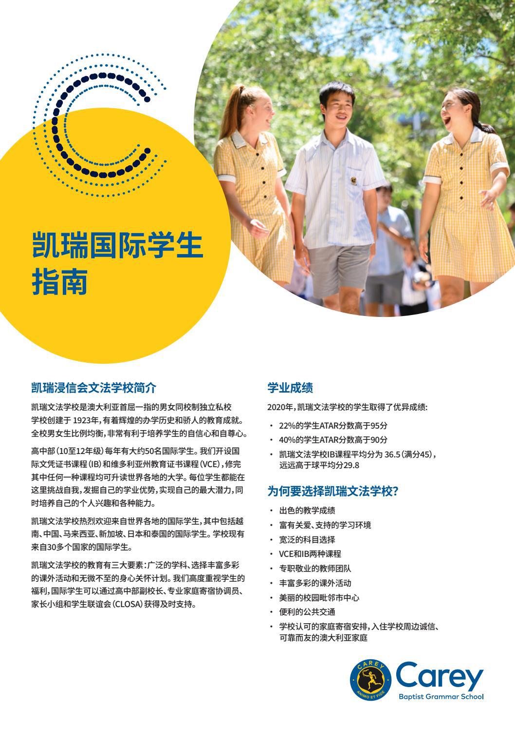 International Student Flyer (Chinese) by CareyGrammar - Issuu