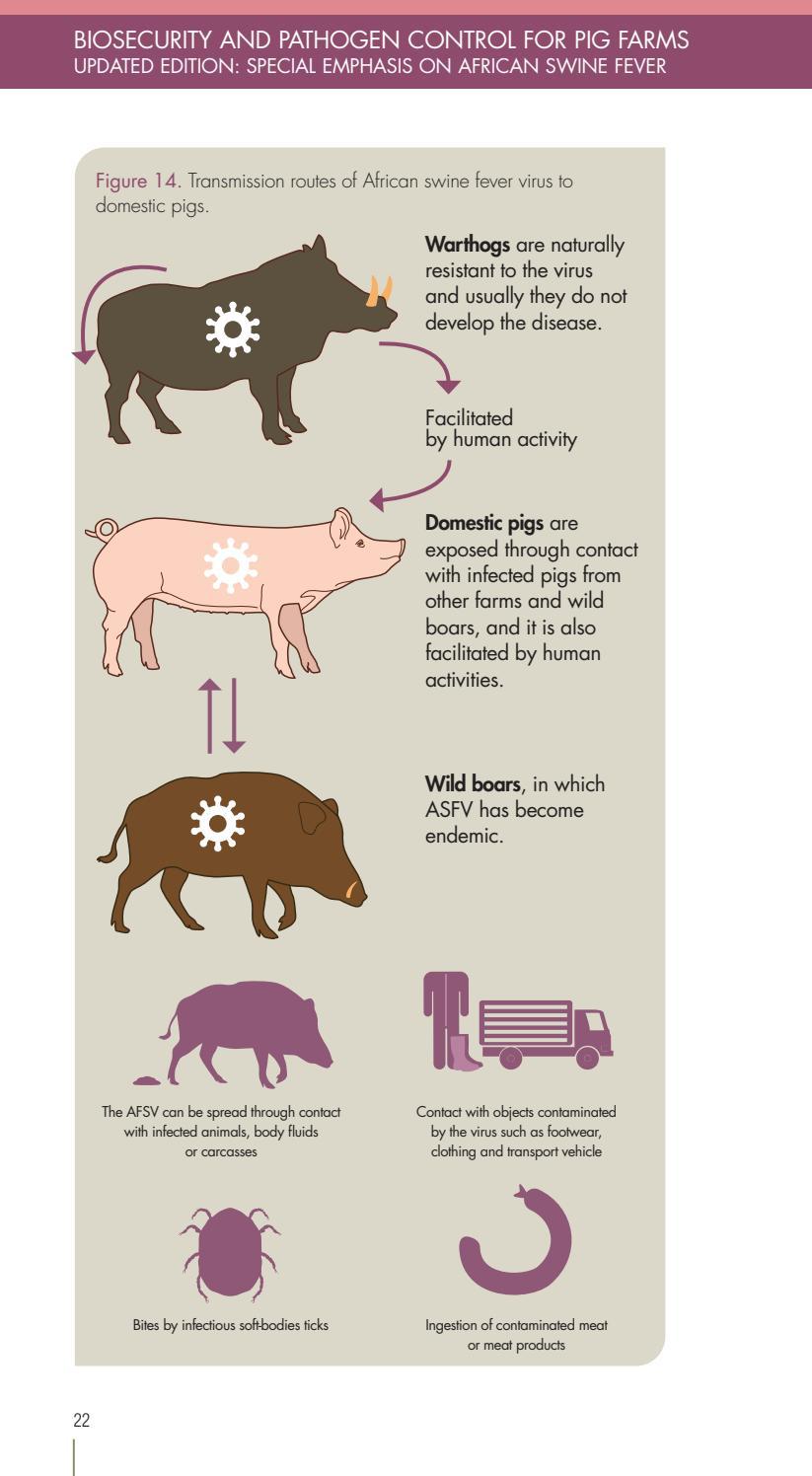 P74680 Biosecurity and Pathogen Control for Pig Farms. Updated Edition ...