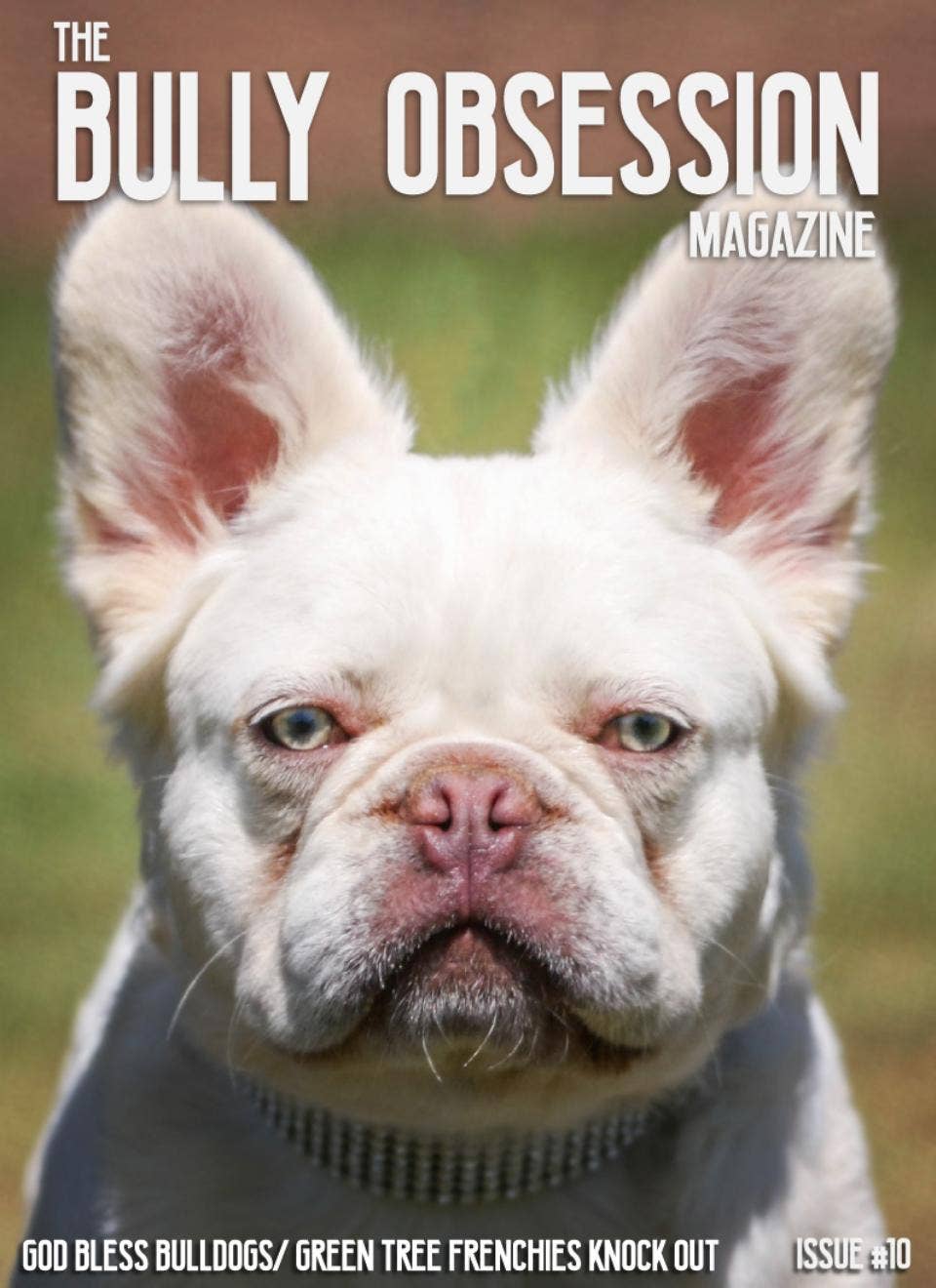 The Bully Obsession - Issue #10 by The Bully Obsession - Issuu