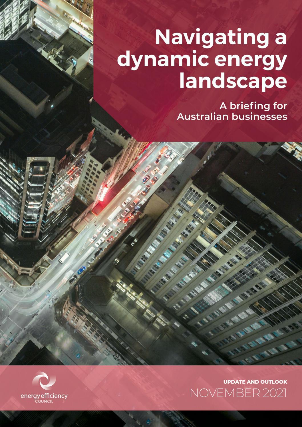 Navigating a dynamic energy landscape: a briefing for Australian ...