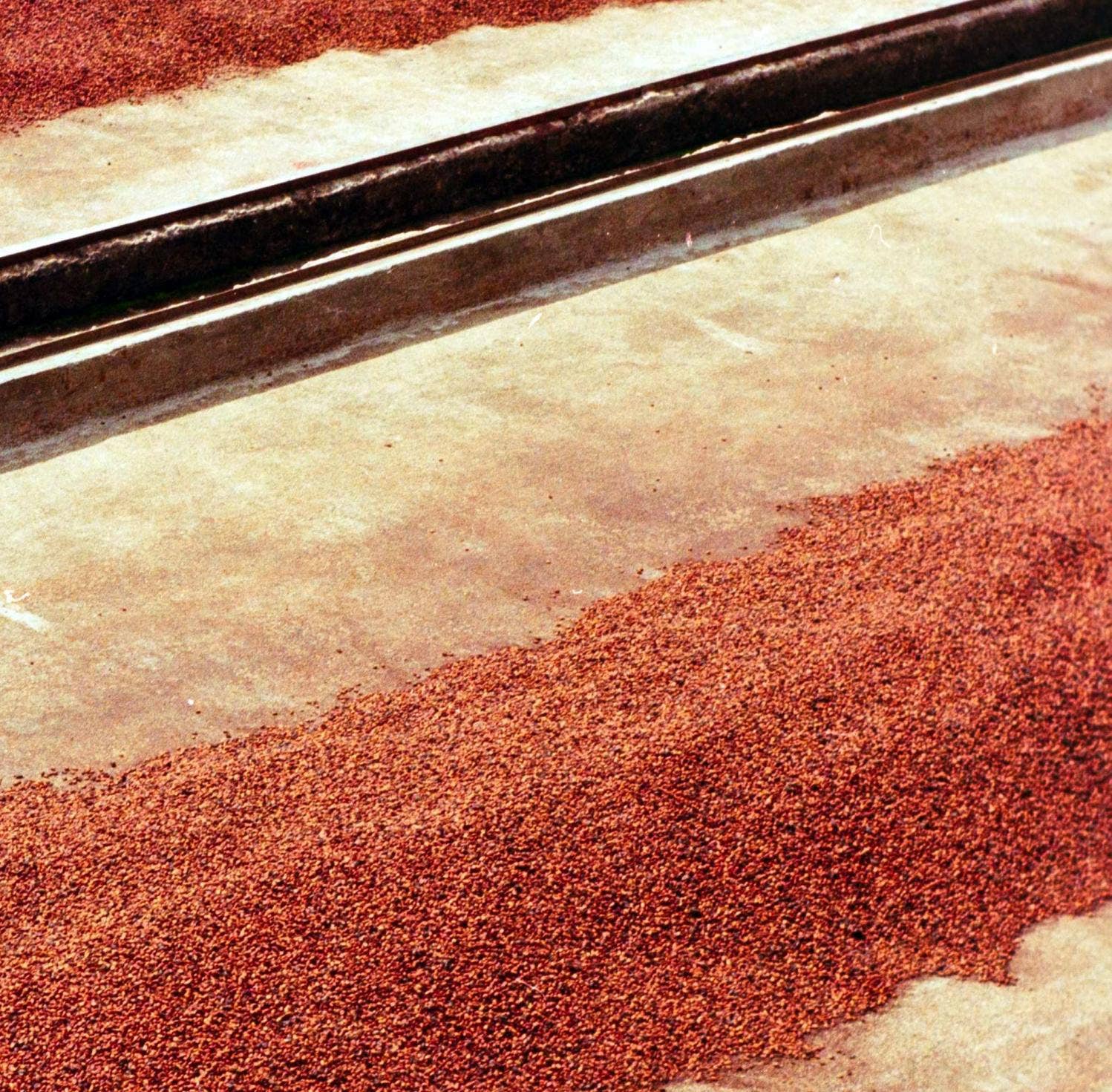 Catálogo 2021 Camilo Marulanda by everybodywantscoffee - Issuu