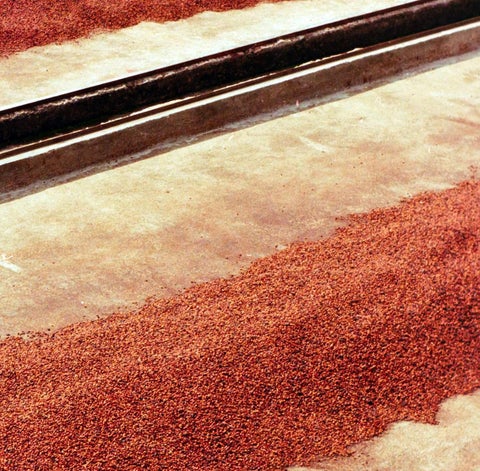 Catálogo 2021 Camilo Marulanda by everybodywantscoffee - Issuu