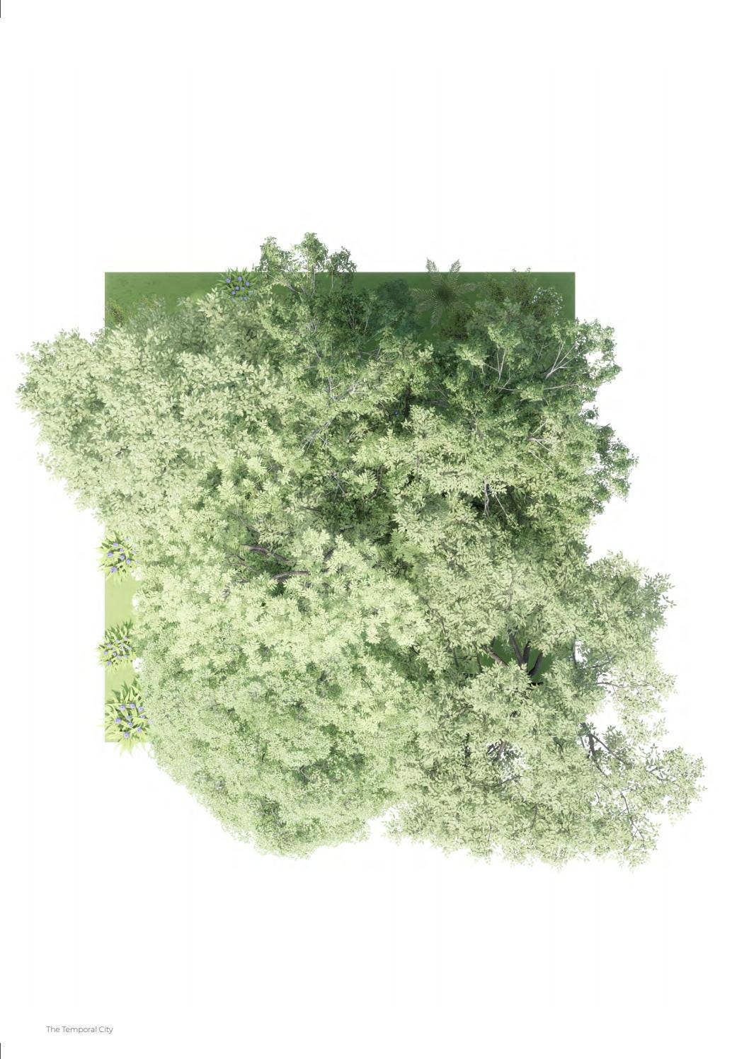 The Temporal City - Devika Panicker by RMIT Architecture - Issuu