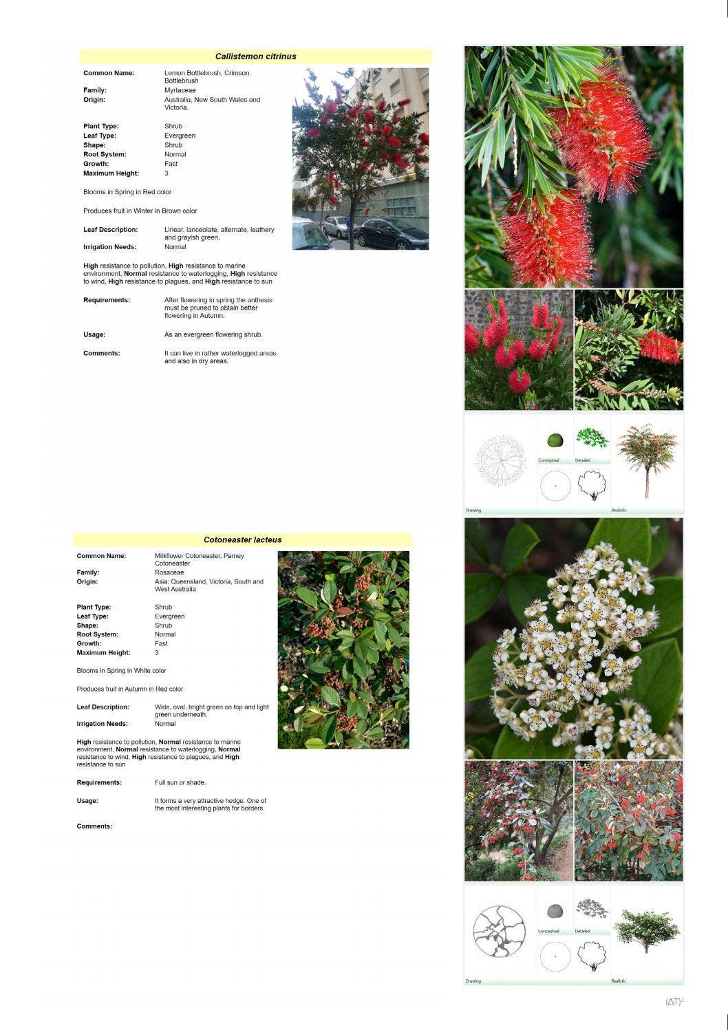 The Temporal City - Devika Panicker by RMIT Architecture - Issuu