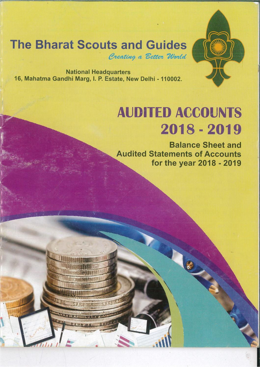 Audited Accounts 2018-2019 by Bsg India - Issuu