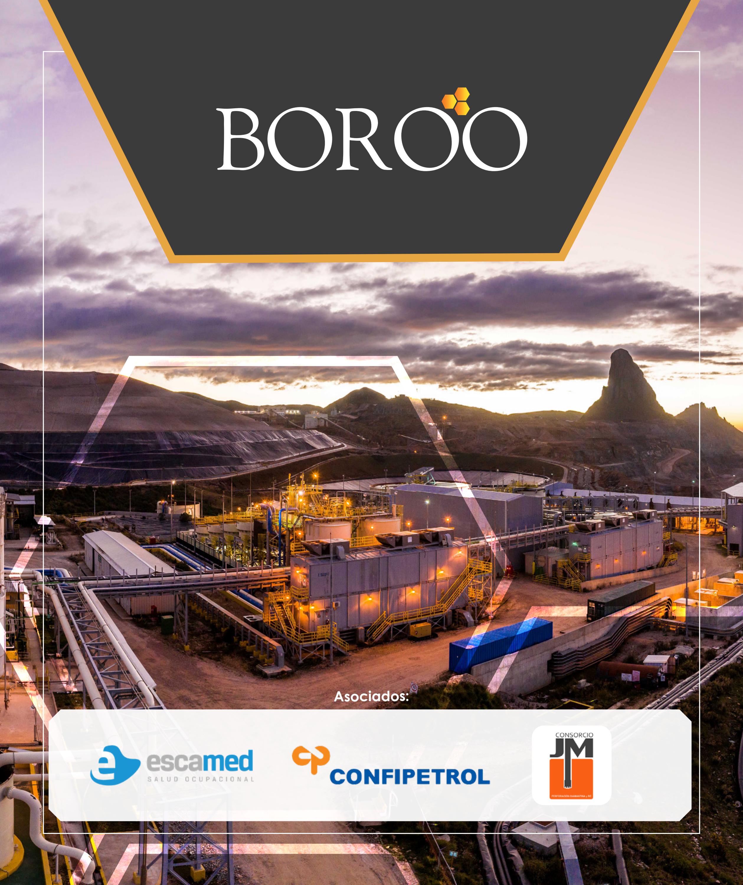Minera Boroo | BBR - Folleto by The Boston Business Review - Issuu