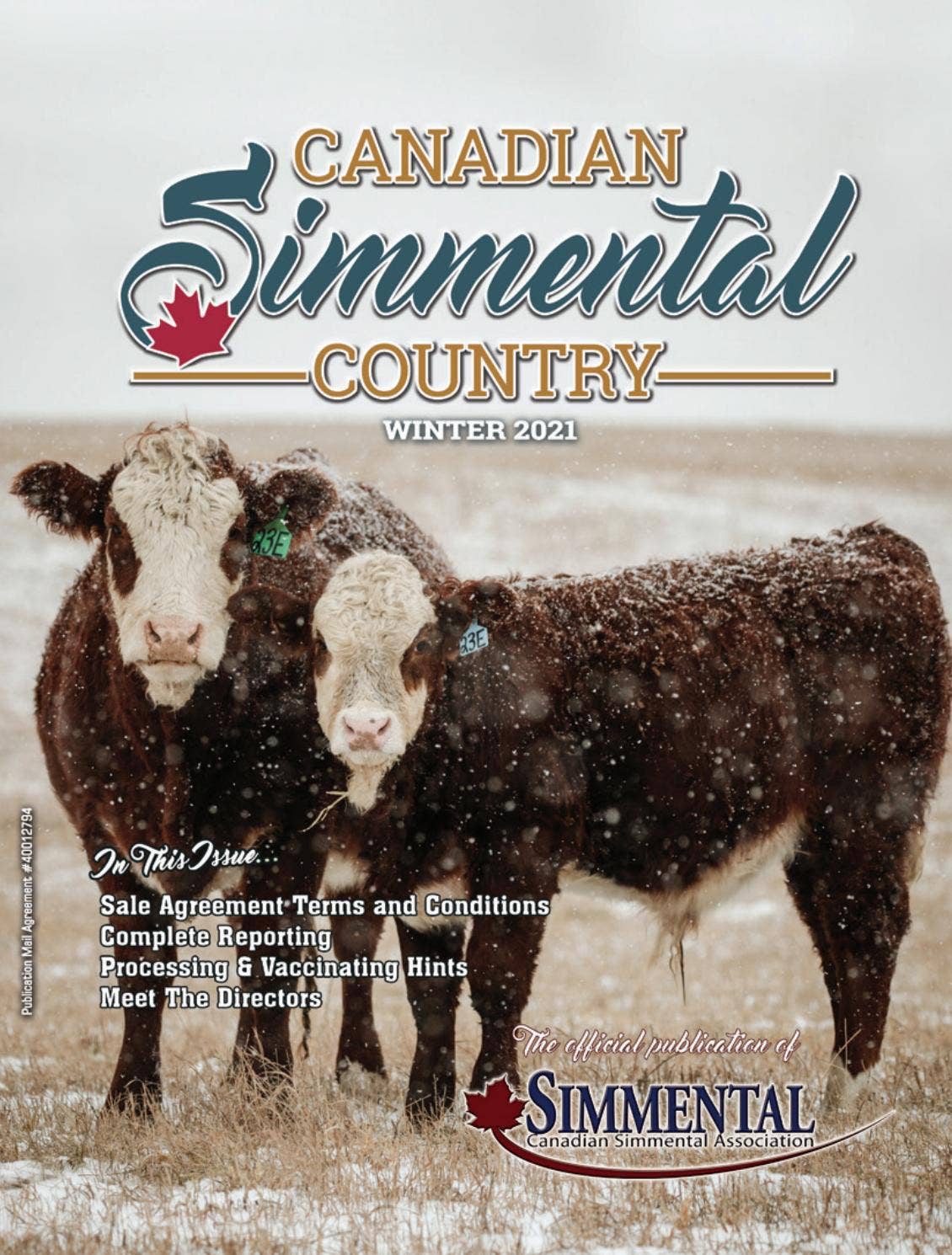 Canadian Simmental Country Winter 2021 by Today's Publishing Inc. - Issuu