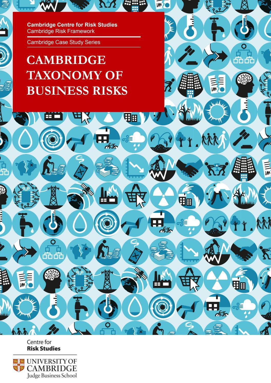 Cambridge Taxonomy of Business Risks by Cambridge Judge Business School ...