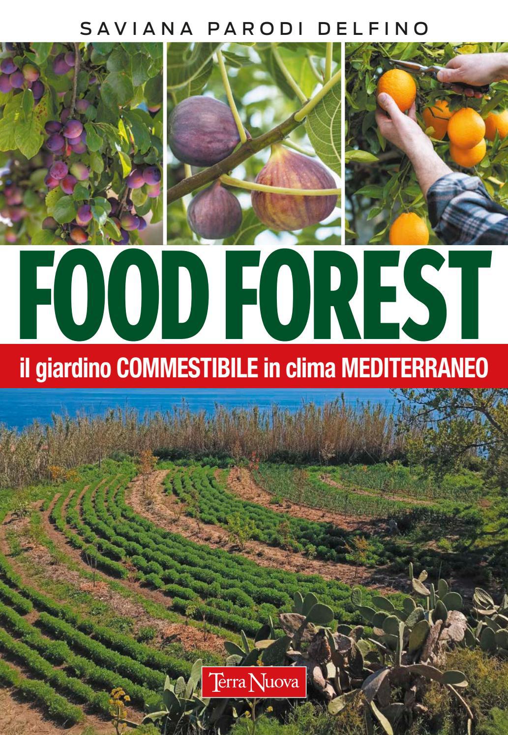 Food Forest by Terra Nuova Edizioni - Issuu