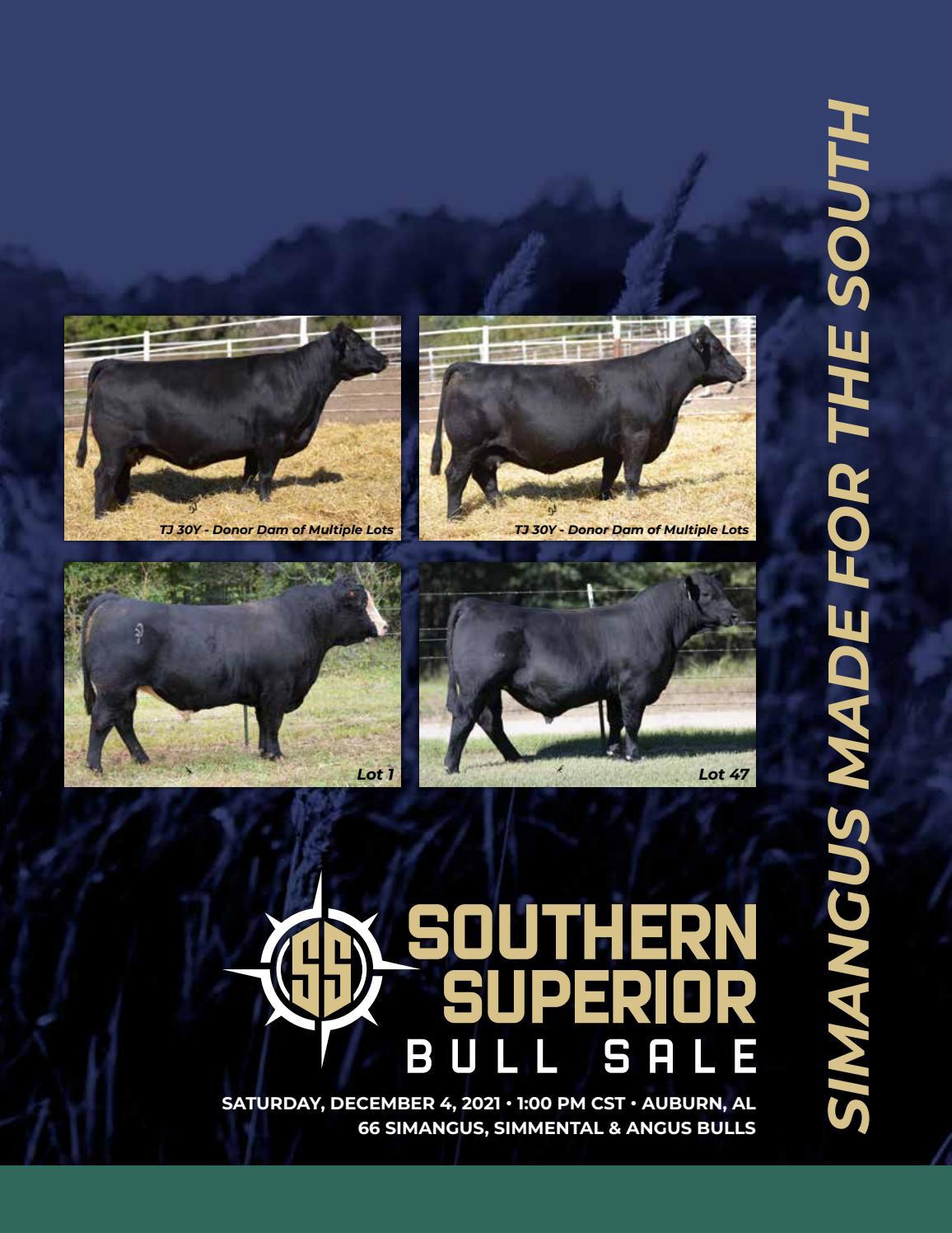 Southern Superior Bull Sale - 2021 by Generation 6 Marketing - Issuu