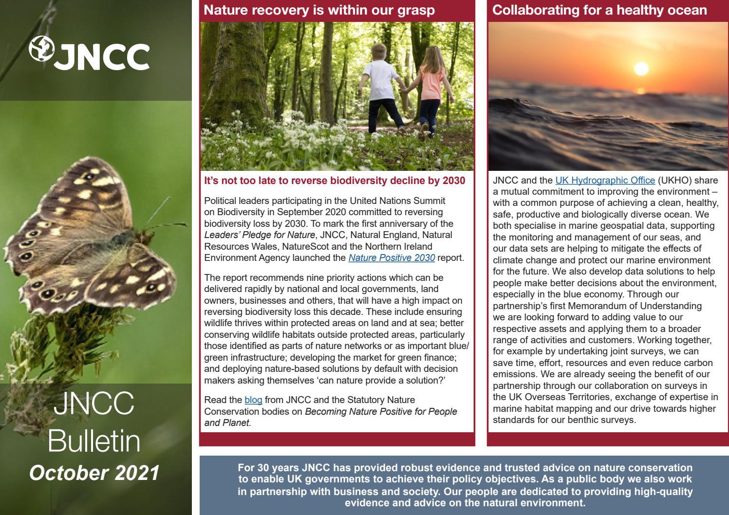 JNCC Bulletin October 2021 by jncc_uk - Issuu
