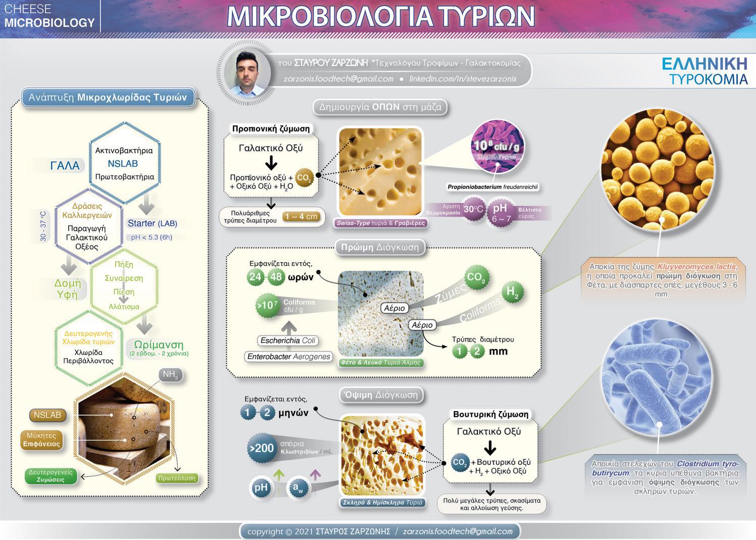 Σταύρος Ζαρζώνης - Ελληνική Γαλακτοκομία και Τυροκομία - Μικροβιολογία ...
