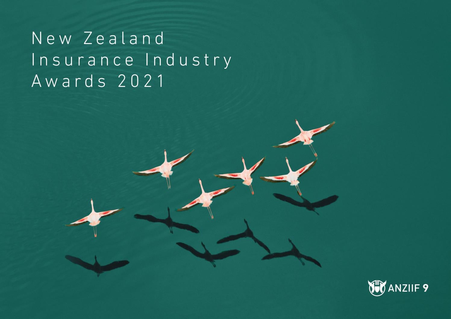 New Zealand Insurance Industry Awards 2021 by ANZIIF - Issuu