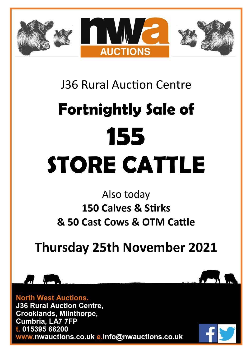 J36 Store Cattle Catalogue by North West Auctions - Issuu