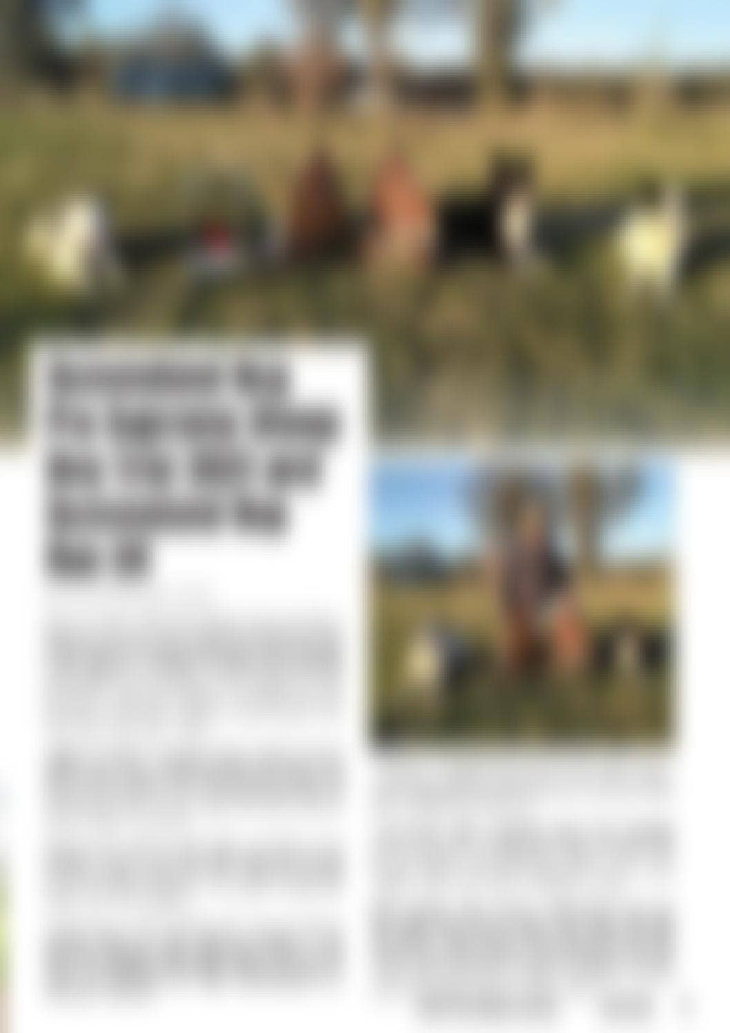 Australian Working Stock Dog Magazine - Issue 17, December 2021 by ...