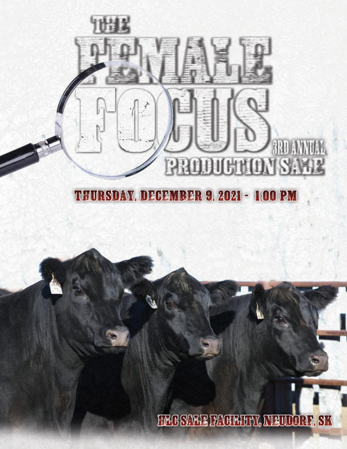 Female Focus 2021 by Today's Publishing Inc. - Issuu