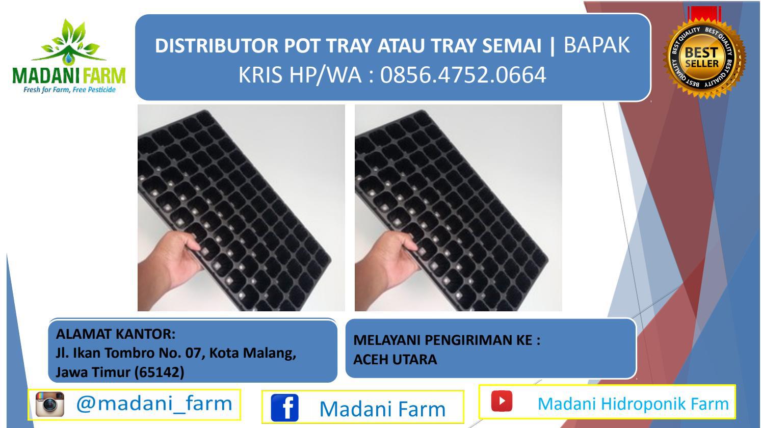 DISTRIBUTOR POT TRAY ATAU TRAY SEMAI | HP/WA 0856.4752.0664 Di Aceh ...