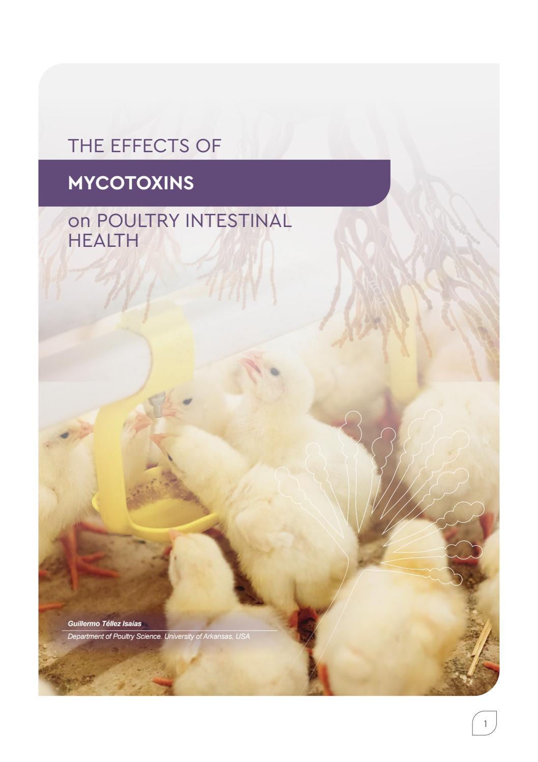The effects of mycotoxins on poultry intestinal health by agriNews - Issuu