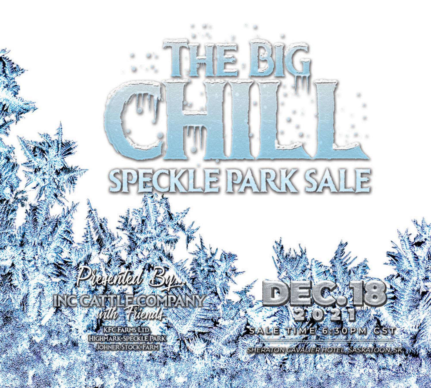 The Big Chill 2021 by Today's Publishing Inc. - Issuu