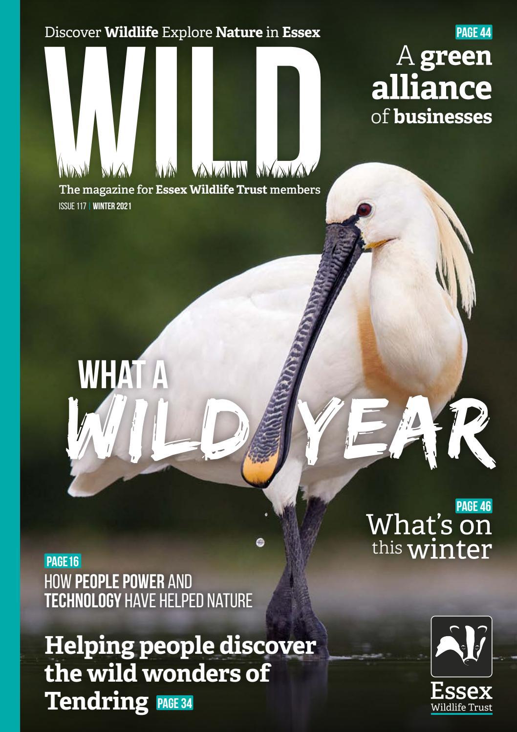 Wild Magazine Winter 2021 by essexwt - Issuu