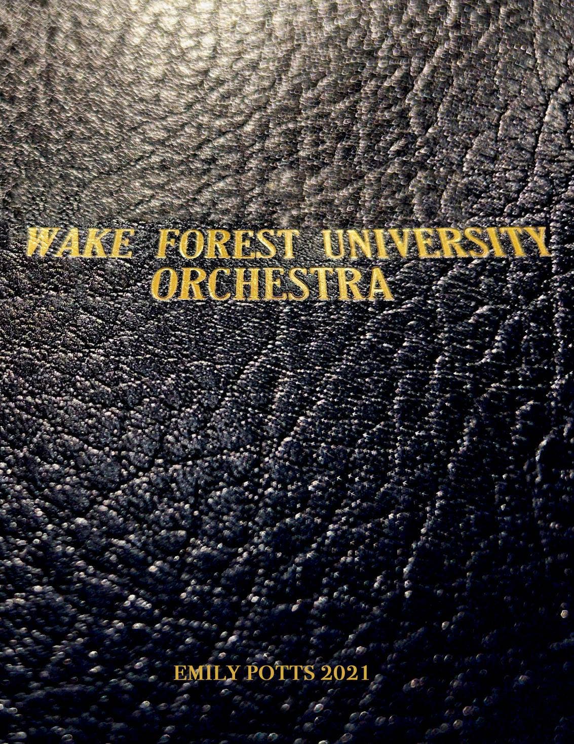 Emily Potts, Wake Forest University Orchestra, 2021 (Art 110) by Visual ...