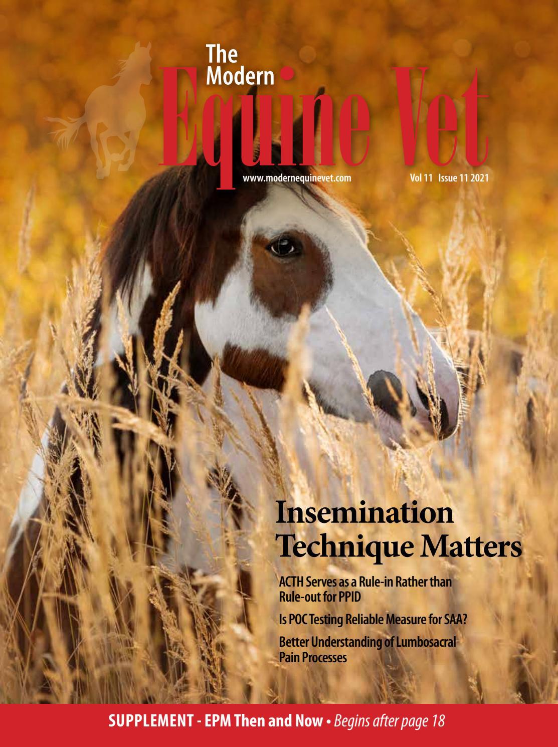 The Modern Equine Vet - November 2021 by The Modern Equine Vet - Issuu