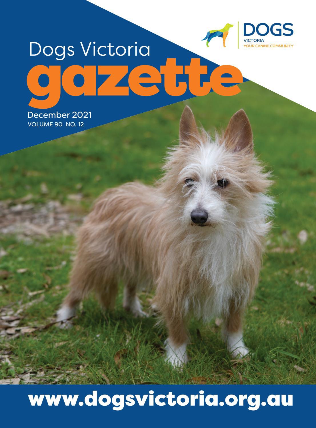 Dogs Victoria Gazette December 2021 by Dogs Victoria - Issuu