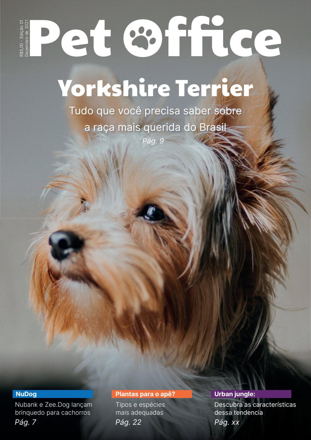 Revista Pet Office by Carlos Daniel Fauth - Issuu