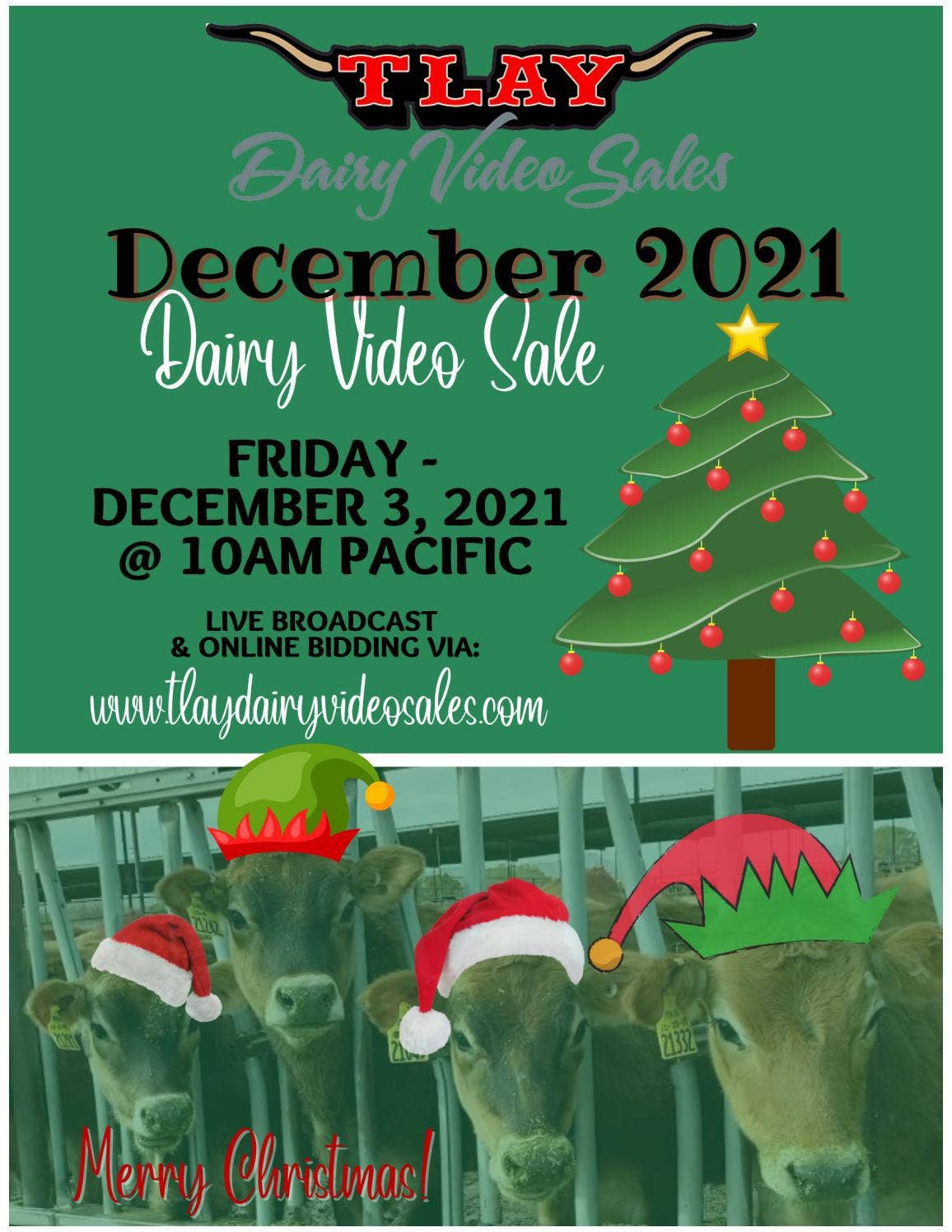 TLAY DECEMBER 2021 DAIRY VIDEO SALE by TURLOCK LIVESTOCK AUCTION YARD ...