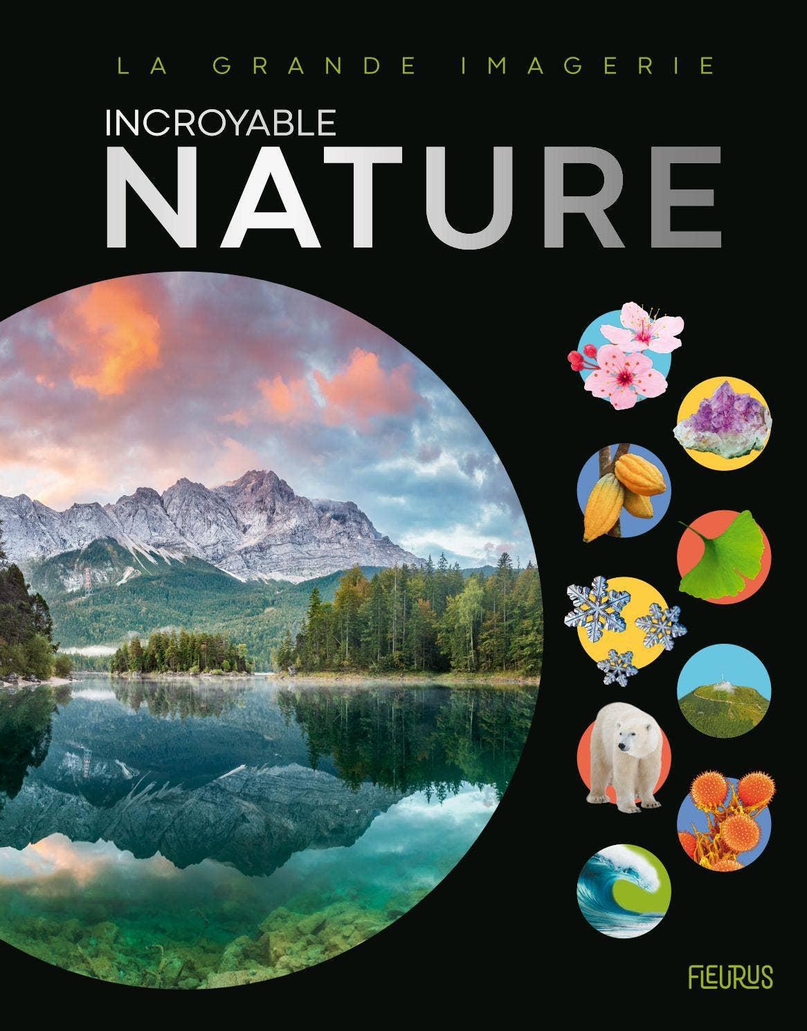 Incroyable Nature. La Grande Imagerie by Fleurus Editions - Issuu