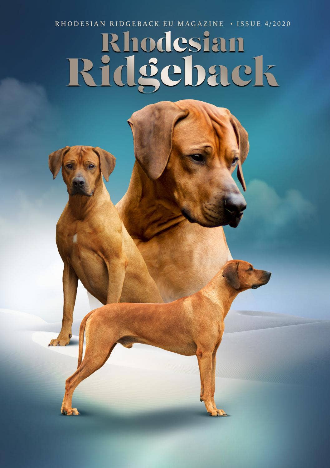 RHODESIAN RIDGEBACK EU MAGAZINE ISSUE 4/2020 by RHODESIAN RIDGEBACK ...
