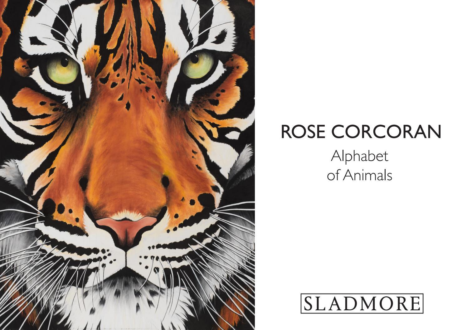 Rose Corcoran Alphabet of Animals by Sladmore - Issuu