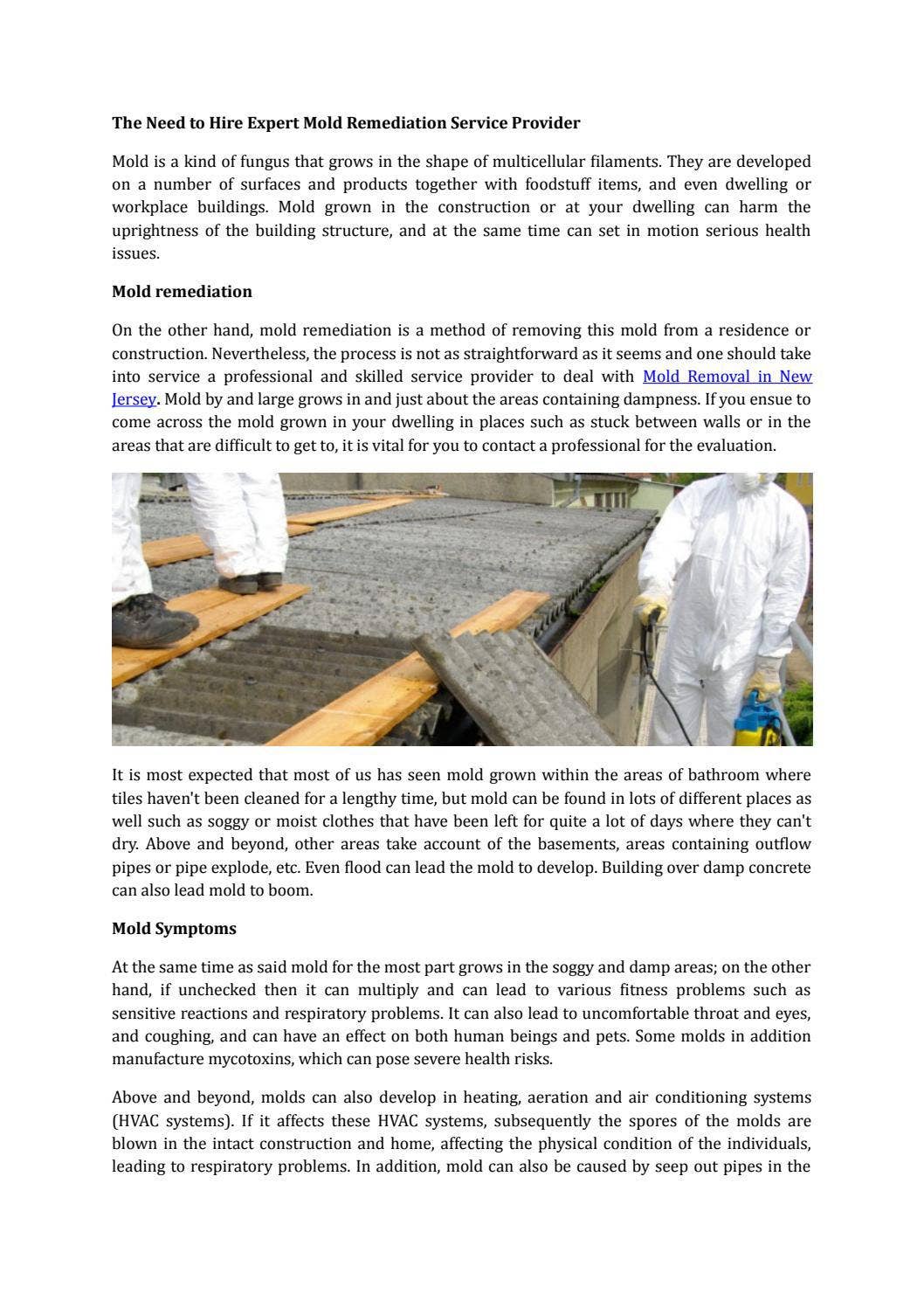 The Need to Hire Expert Mold Remediation Service Provider by United ...