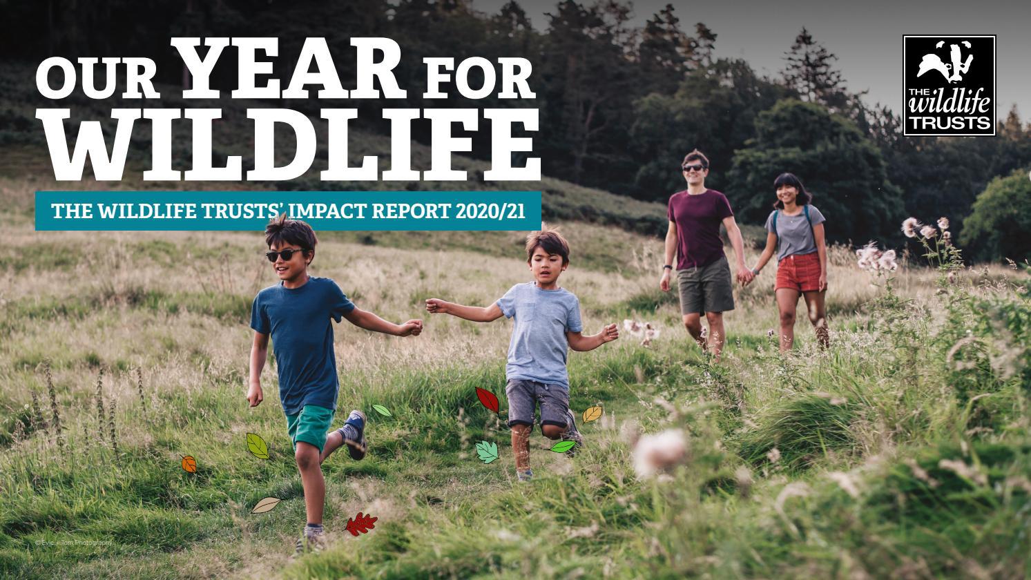 Our Year for Wildlife: The Wildlife Trusts Impact Report 2020/21 by The ...