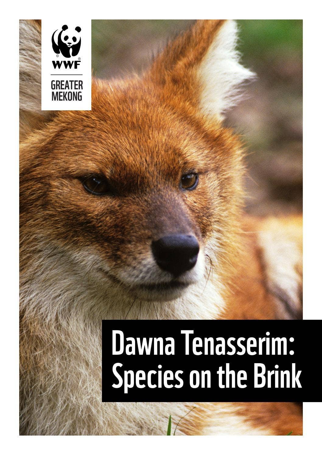 Dawna Tenasserim: Species on the Brink by WWF-Myanmar - Issuu