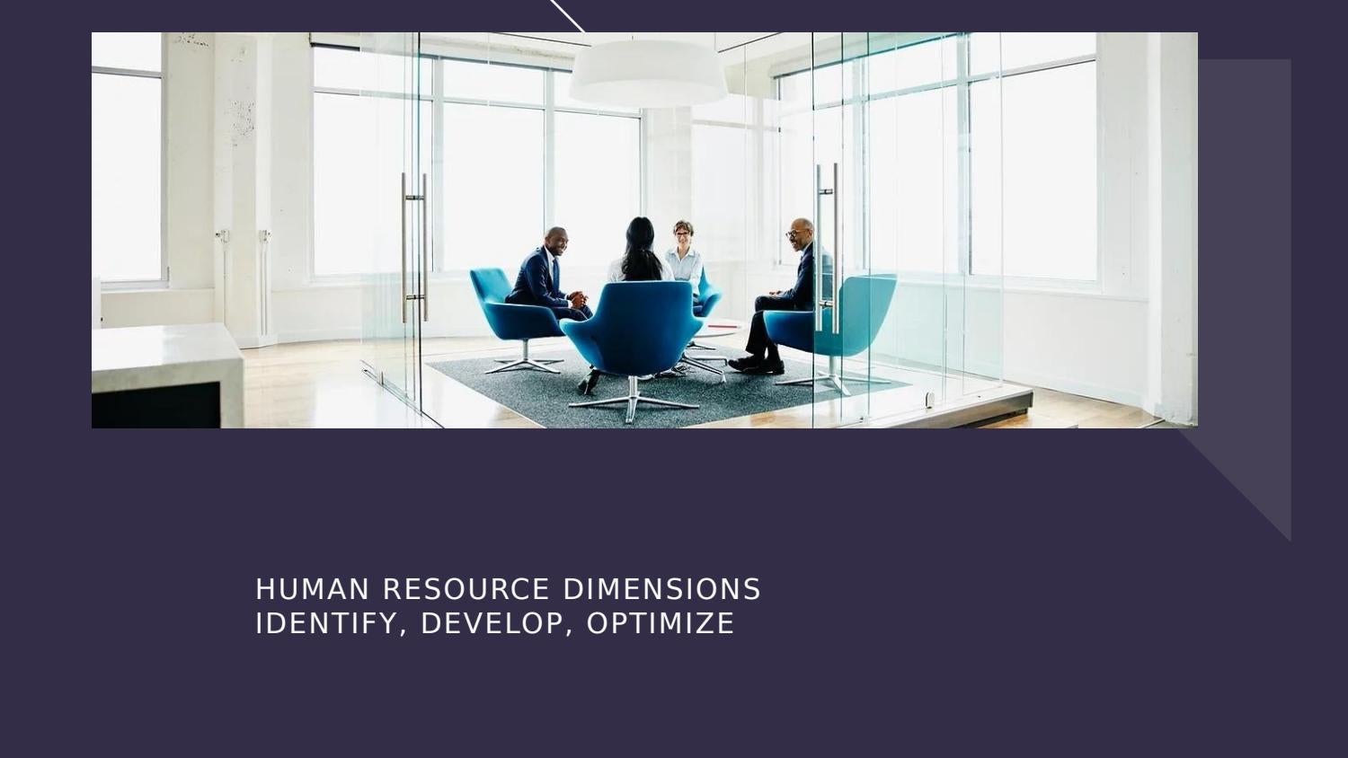 Turnkey Learning Management System by Human Resource Dimensions - Issuu