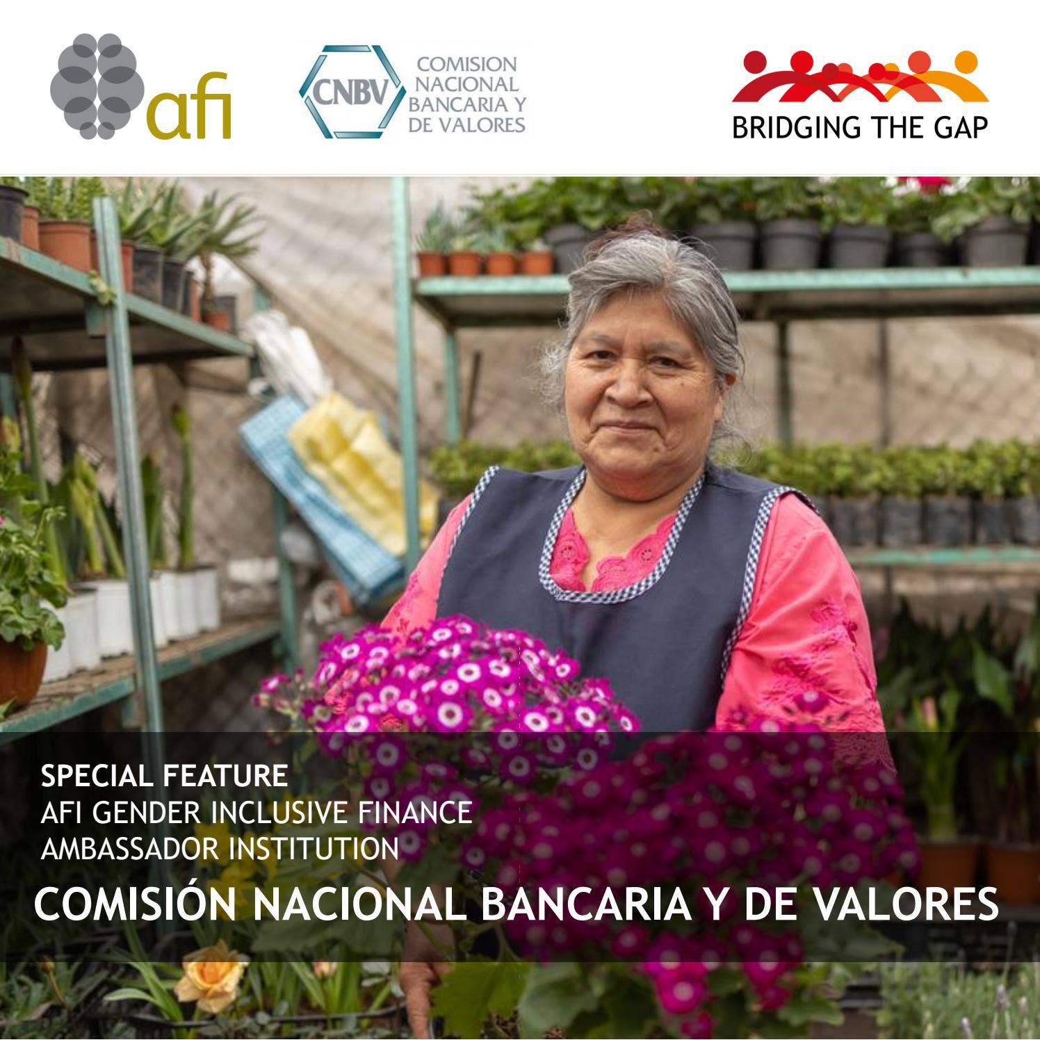 AFI GIF Ambassador - Mexico by Alliance for Financial Inclusion - Issuu