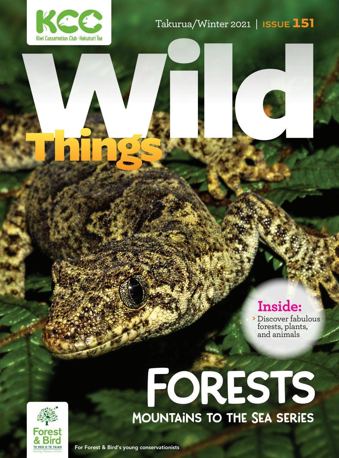 KCC Wild Things Issue 151 Winter 2021 by Forest & Bird - Issuu