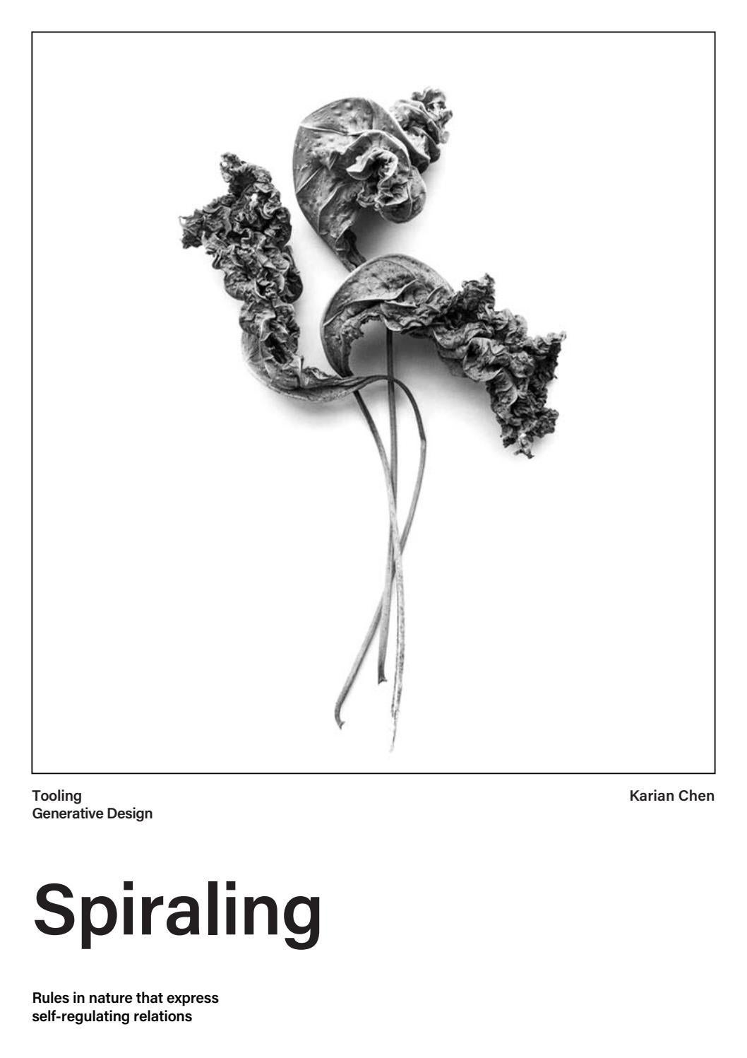 Spiraling - Generative Design Book by Karian Chen - Issuu