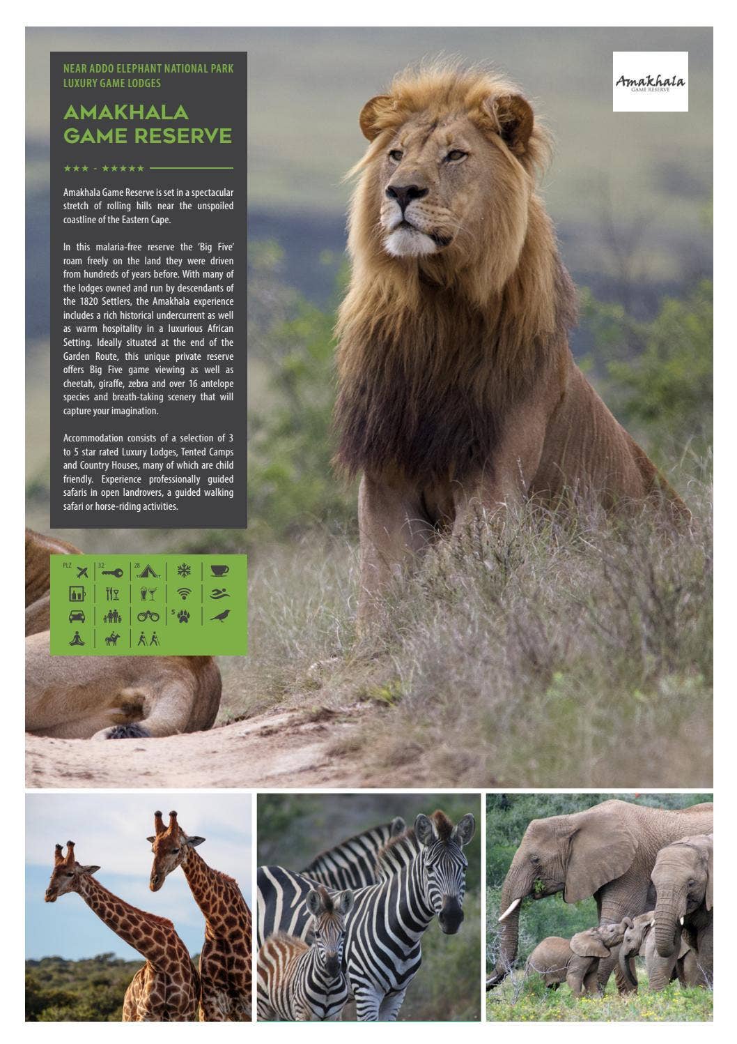 Thompsons Africa South Africa 2021/2022 by thompsonsafrica - Issuu