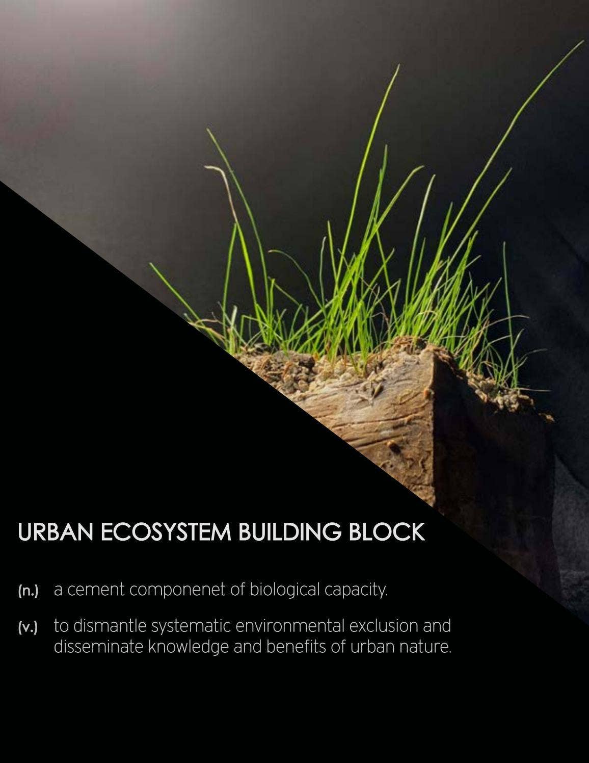 Urban Ecosystem Building Block by Catherine Wang - Issuu